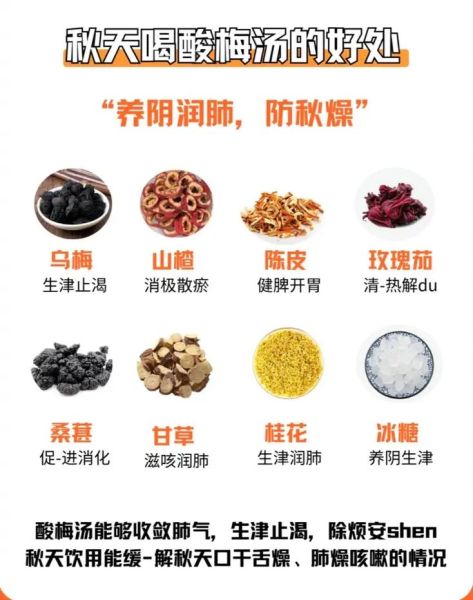 酸梅的功效与作用是什么_酸梅怎么吃最健康-第3张图片-山城妙识