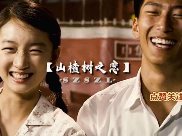 山楂树之恋电视剧免费完整版_哪里能看高清不卡-第2张图片-山城妙识