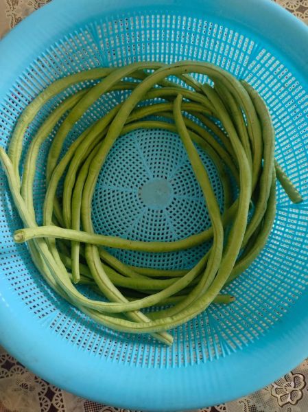 生腌豇豆怎么做_生腌豇豆要腌多久-第2张图片-山城妙识