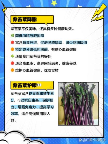 苔菜的营养价值_苔菜怎么吃最健康-第3张图片-山城妙识