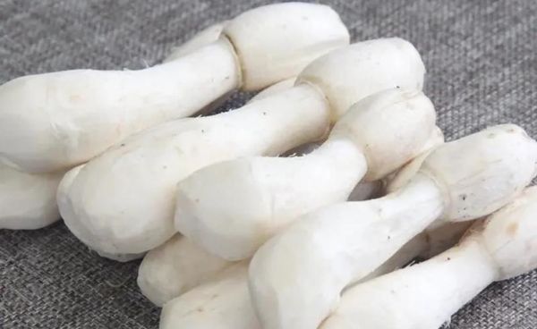 鸡腿菇怎么挑选_鸡腿菇和杏鲍菇的区别-第3张图片-山城妙识
