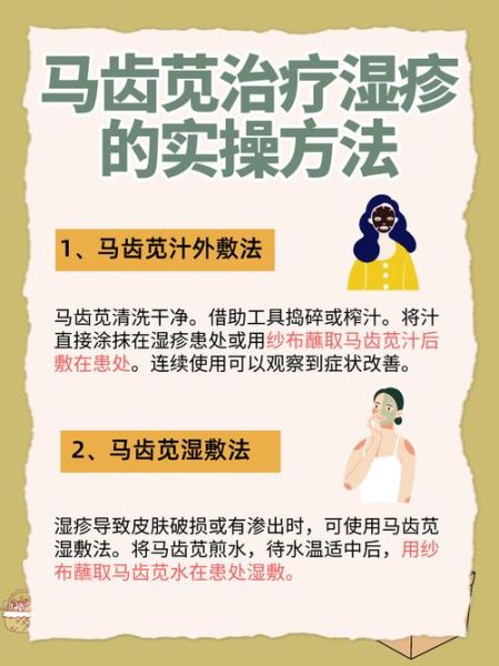 马齿苋洗湿疹越洗越严重_湿疹用马齿苋为什么加重-第1张图片-山城妙识