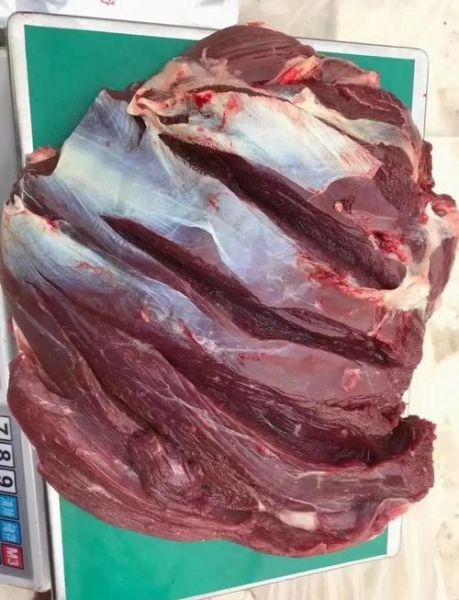 鹿肉怎么做好吃_鹿肉的做法大全视频-第2张图片-山城妙识