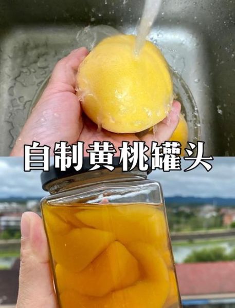 自制黄桃罐头保质期一般多久_如何延长保存时间-第2张图片-山城妙识