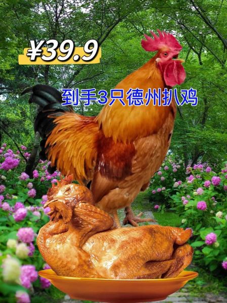 扒鸡的正确读音是什么_德州扒鸡怎么读才地道-第3张图片-山城妙识