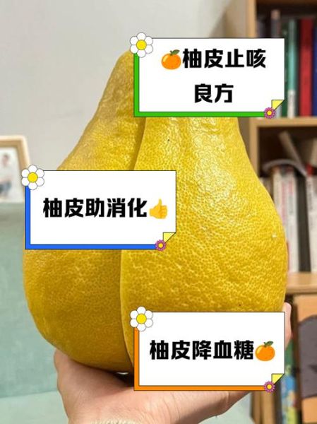 柚皮泡水喝的功效与禁忌_柚皮泡水能减肥吗-第3张图片-山城妙识