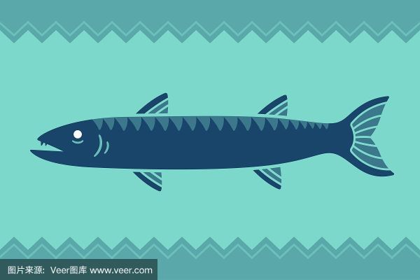 梭子鱼怎么画_梭子鱼简笔画步骤-第2张图片-山城妙识 梭子鱼怎么画_梭子鱼简笔画步骤-第2张图片-山城妙识