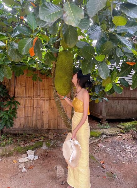 菠萝菠萝蜜歌曲视频在线观看_哪里能免费高清看-第2张图片-山城妙识