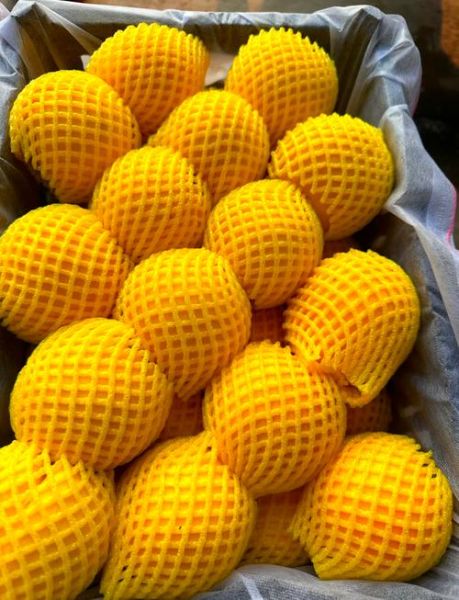 黄桃的营养价值及功效与作用_吃黄桃会上火吗-第3张图片-山城妙识 黄桃的营养价值及功效与作用_吃黄桃会上火吗-第3张图片-山城妙识