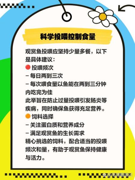 长寿鱼的功效与作用_长寿鱼怎么吃最营养-第2张图片-山城妙识 长寿鱼的功效与作用_长寿鱼怎么吃最营养-第2张图片-山城妙识
