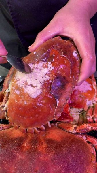 面包蟹怎么清理内脏_面包蟹内脏清理步骤-第2张图片-山城妙识 面包蟹怎么清理内脏_面包蟹内脏清理步骤-第2张图片-山城妙识