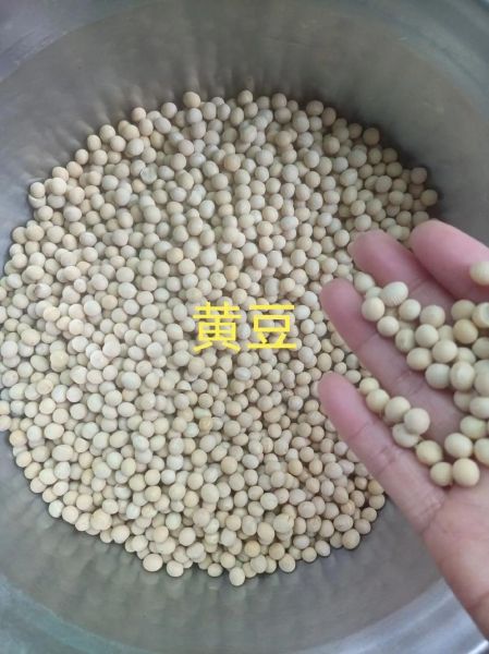 自制豆腐怎么做_自制豆腐需要什么材料-第3张图片-山城妙识