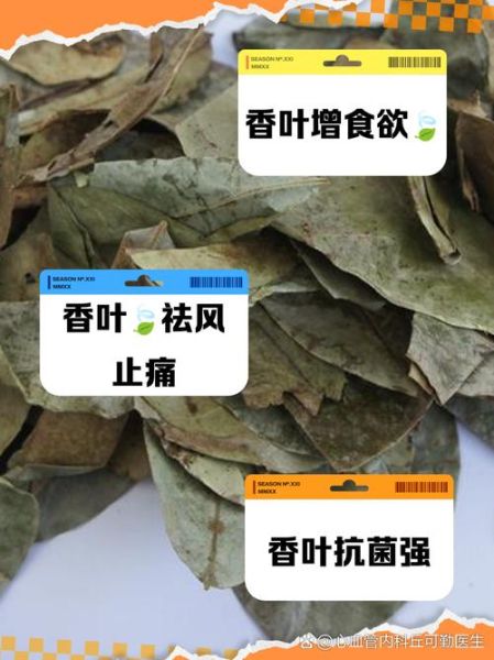 香叶的功效与作用及禁忌_孕妇能吃香叶吗-第2张图片-山城妙识 香叶的功效与作用及禁忌_孕妇能吃香叶吗-第2张图片-山城妙识