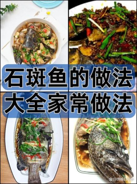 石斑鱼怎么做好吃_石斑鱼的营养价值-第2张图片-山城妙识 石斑鱼怎么做好吃_石斑鱼的营养价值-第2张图片-山城妙识