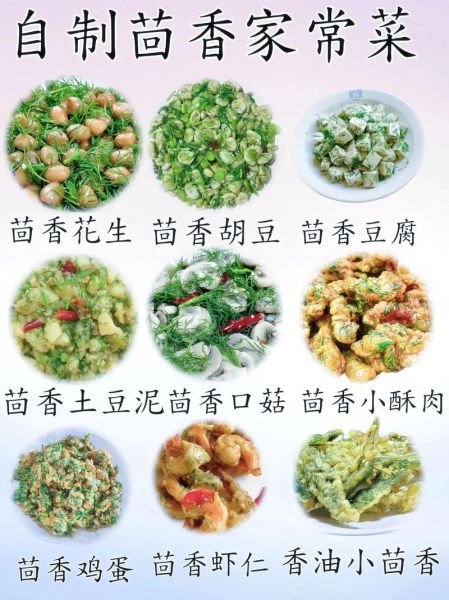 茴香的做法有哪些_茴香怎么做好吃-第2张图片-山城妙识 茴香的做法有哪些_茴香怎么做好吃-第2张图片-山城妙识