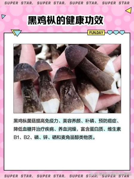 黑蘑菇是什么_黑蘑菇能吃吗-第2张图片-山城妙识 黑蘑菇是什么_黑蘑菇能吃吗-第2张图片-山城妙识