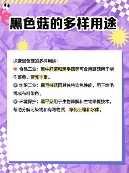 黑蘑菇是什么_黑蘑菇能吃吗-第1张图片-山城妙识 黑蘑菇是什么_黑蘑菇能吃吗-第1张图片-山城妙识