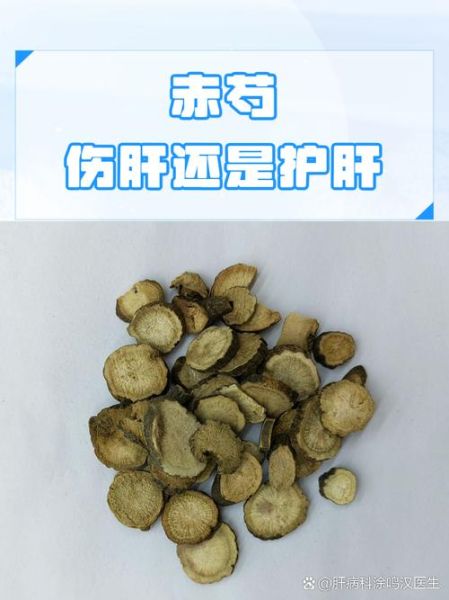 赤芍的功效与作用_赤芍和什么搭配最好-第1张图片-山城妙识 赤芍的功效与作用_赤芍和什么搭配最好-第1张图片-山城妙识