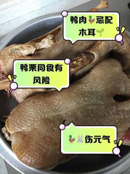 鸭肉不能和什么一起吃_鸭肉与哪些食物相克-第1张图片-山城妙识 鸭肉不能和什么一起吃_鸭肉与哪些食物相克-第1张图片-山城妙识