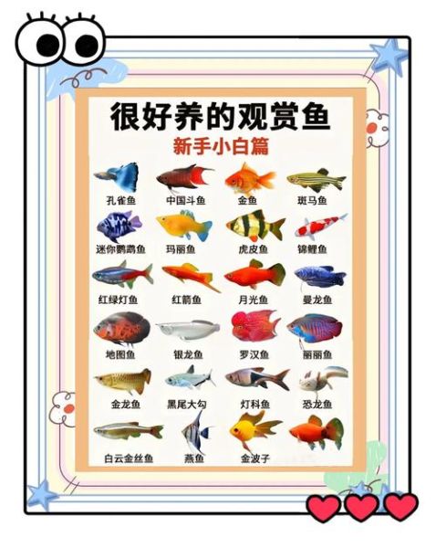 常见淡水鱼名称大全_如何快速识别鱼种-第1张图片-山城妙识 常见淡水鱼名称大全_如何快速识别鱼种-第1张图片-山城妙识