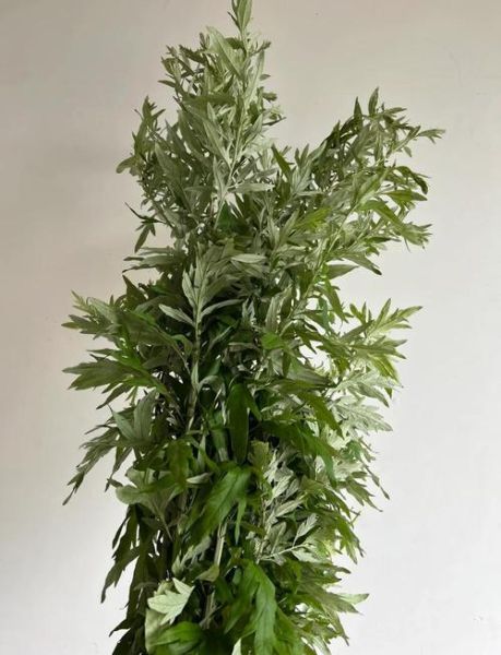 艾草煮鸡蛋经期能吃吗_艾草鸡蛋月经禁忌-第2张图片-山城妙识