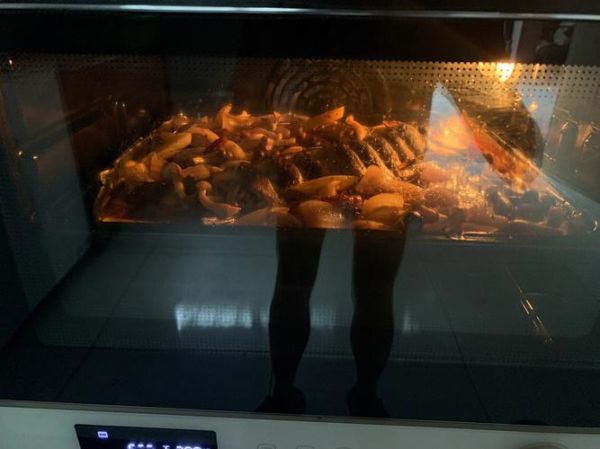 烤鱼电烤箱哪个牌子好_烤鱼电烤箱怎么用-第1张图片-山城妙识 烤鱼电烤箱哪个牌子好_烤鱼电烤箱怎么用-第1张图片-山城妙识