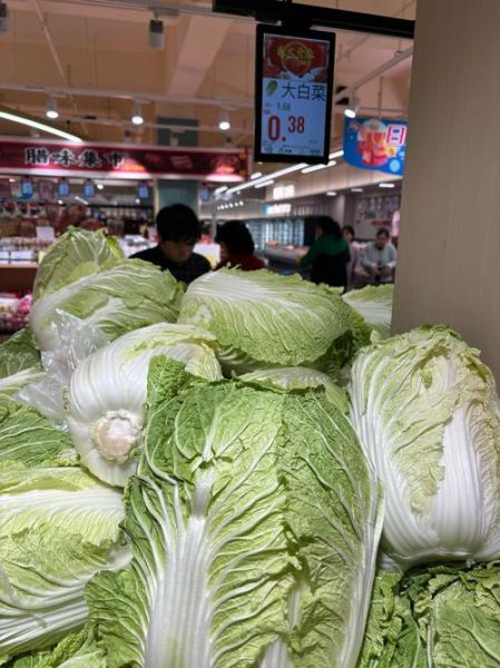 白菜价格今日价一斤_白菜多少钱一斤今天-第2张图片-山城妙识 白菜价格今日价一斤_白菜多少钱一斤今天-第2张图片-山城妙识