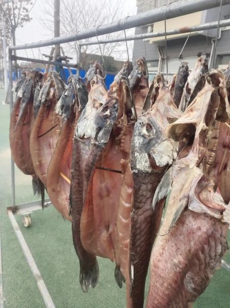 正宗咸鱼怎么腌制_咸鱼晒干要多久-第3张图片-山城妙识 正宗咸鱼怎么腌制_咸鱼晒干要多久-第3张图片-山城妙识