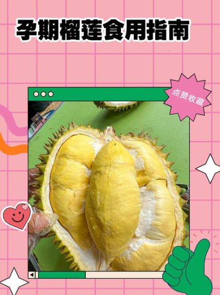 孕妇可以吃榴莲吗_孕期吃榴莲注意事项-第1张图片-山城妙识 孕妇可以吃榴莲吗_孕期吃榴莲注意事项-第1张图片-山城妙识