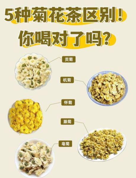 菊花泡水喝的功效与作用_长期喝菊花茶的副作用-第3张图片-山城妙识