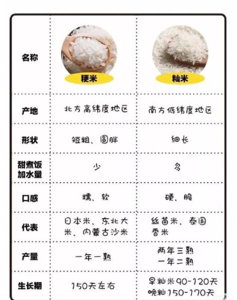 粳米和大米的区别_粳米怎么煮才好吃-第2张图片-山城妙识 粳米和大米的区别_粳米怎么煮才好吃-第2张图片-山城妙识