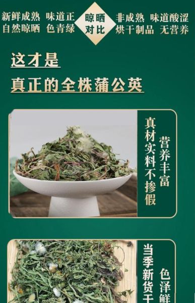 蒲公英能治好乳腺结节吗_乳腺结节喝蒲公英多久见效-第1张图片-山城妙识