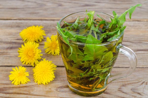 蒲公英能治好乳腺结节吗_乳腺结节喝蒲公英多久见效-第3张图片-山城妙识