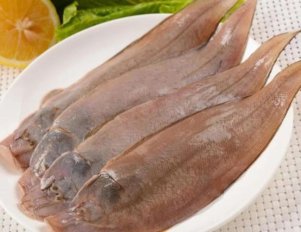 鳎怎么读_鳎鱼是什么鱼-第1张图片-山城妙识