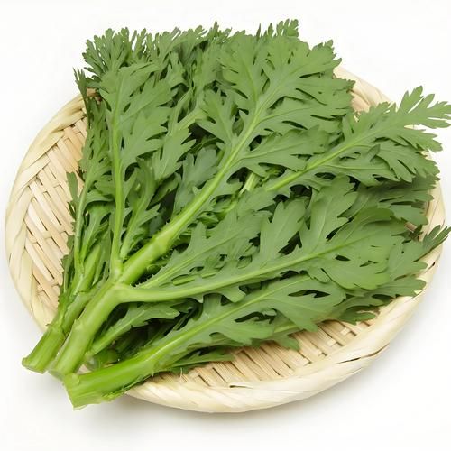 蓬蒿菜孕妇能吃吗_孕妇吃蓬蒿菜注意事项-第1张图片-山城妙识 蓬蒿菜孕妇能吃吗_孕妇吃蓬蒿菜注意事项-第1张图片-山城妙识