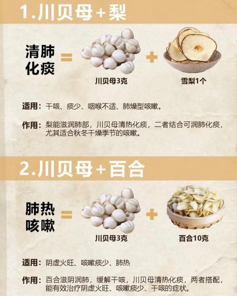 川贝母的功效与作用_川贝母怎么吃止咳效果好-第1张图片-山城妙识