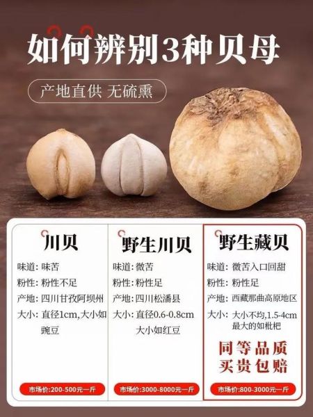 藏贝母多少钱一斤_藏贝母价格影响因素-第1张图片-山城妙识