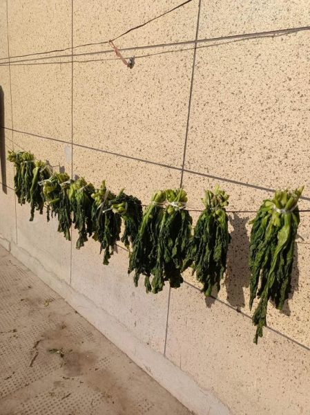 自制腌咸菜怎么做_自制腌咸菜能放多久-第2张图片-山城妙识 自制腌咸菜怎么做_自制腌咸菜能放多久-第2张图片-山城妙识