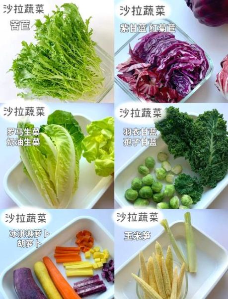 蔬菜沙拉用什么调料拌最健康_蔬菜沙拉健康调料推荐-第3张图片-山城妙识