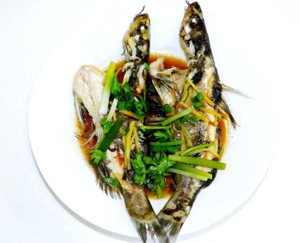 红烧黄辣丁鱼怎么做_黄辣丁鱼红烧要焯水吗-第3张图片-山城妙识