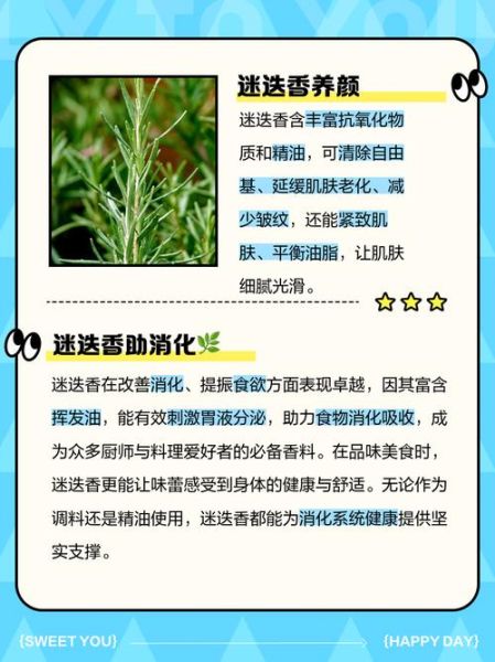 迷迭香的功效与作用_迷迭香哪些人不能吃-第2张图片-山城妙识 迷迭香的功效与作用_迷迭香哪些人不能吃-第2张图片-山城妙识