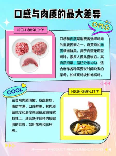 麻鸡和三黄鸡哪个好吃_口感区别在哪-第2张图片-山城妙识