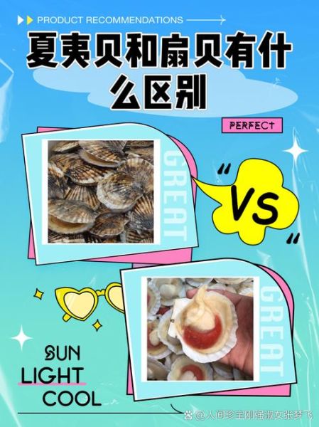 扇贝是什么东西_扇贝的寓意和象征-第2张图片-山城妙识