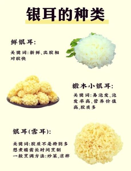 白色木耳和银耳的区别_哪个更营养-第2张图片-山城妙识 白色木耳和银耳的区别_哪个更营养-第2张图片-山城妙识