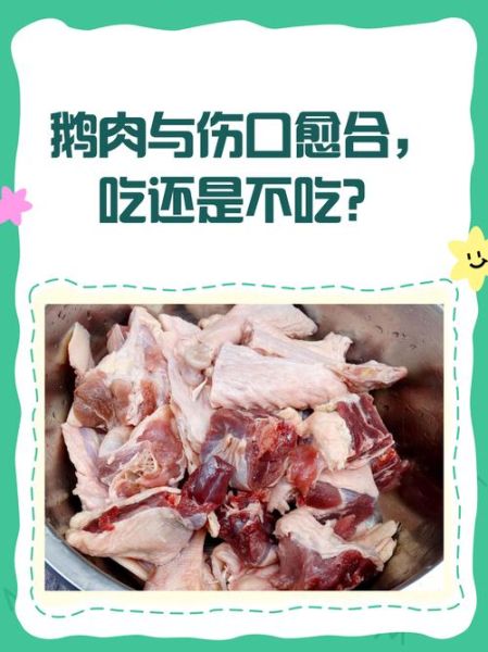 鹅是发物吗_肿瘤患者能吃鹅肉吗-第2张图片-山城妙识