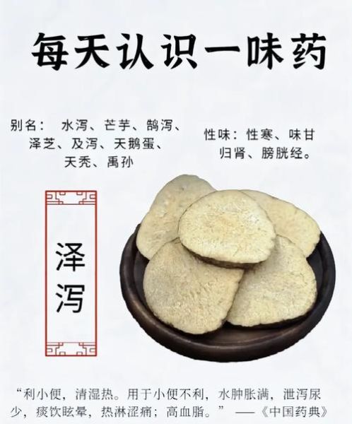 泽泻的功效与作用及禁忌_泽泻哪些人不能吃-第1张图片-山城妙识 泽泻的功效与作用及禁忌_泽泻哪些人不能吃-第1张图片-山城妙识