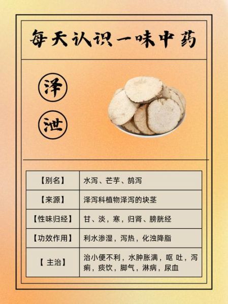 泽泻的功效与作用及禁忌_泽泻哪些人不能吃-第2张图片-山城妙识 泽泻的功效与作用及禁忌_泽泻哪些人不能吃-第2张图片-山城妙识