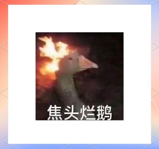 卤鹅考试是什么_如何一次通过卤鹅考试-第2张图片-山城妙识