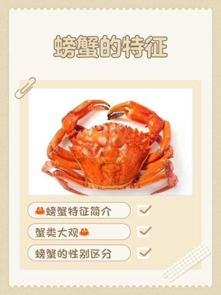 女的下面为什么叫螃蟹_螃蟹称呼的由来-第3张图片-山城妙识