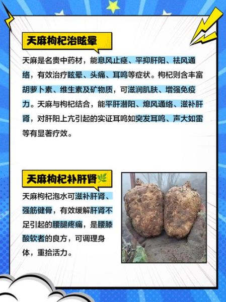 男人吃天麻壮阳吗_天麻对男性性功能有效吗-第2张图片-山城妙识